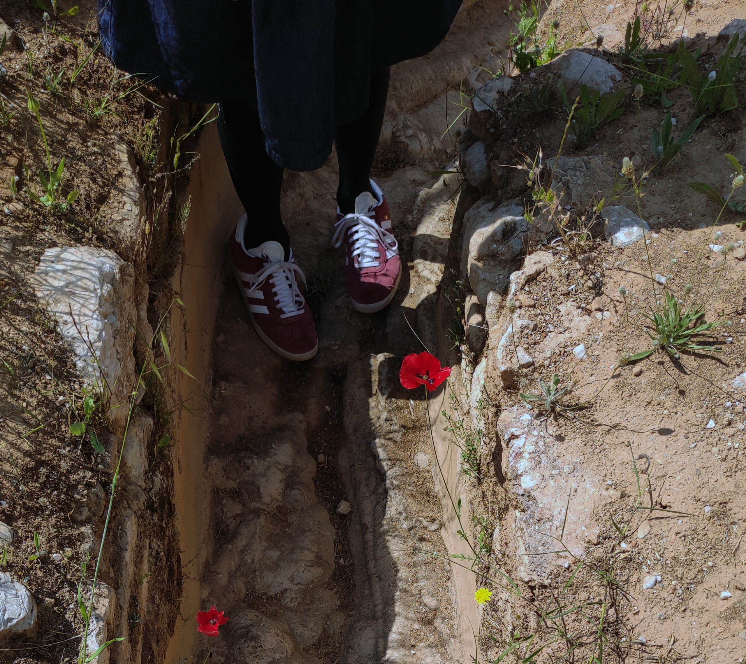 A water community in the making. - Cultural Hidrant